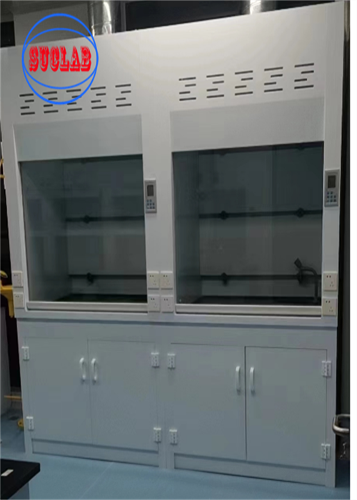 220V Chemical Fume Hood Lab Acid Fume Hood Wall Mounted with Horizontal ...