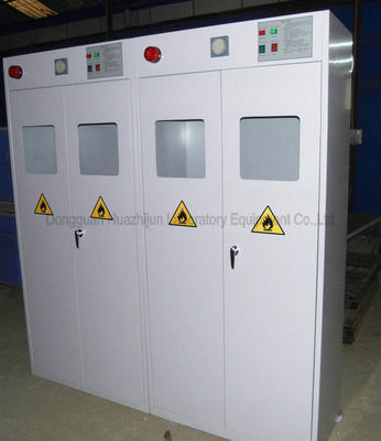 Metal Steel Laboratory Storage Cabinets , Compressed Gas Cylinder Cabinets