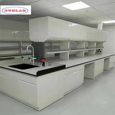 Customizable Laboratory Workbench with Multiple Compartments and Racks ...