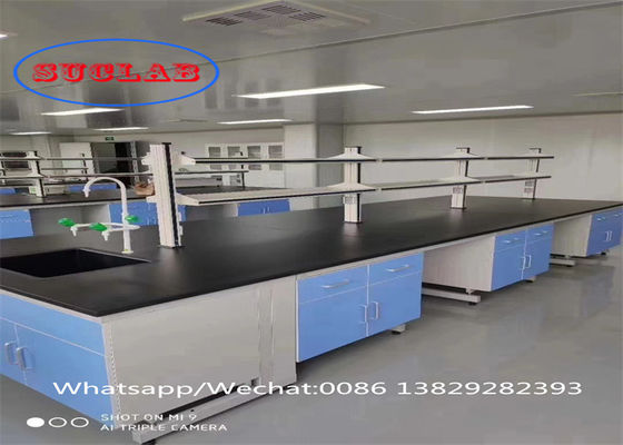 Chemical Resistant Custom Size Modular Lab Furnitures Design for ...