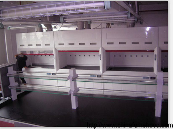 FRP Products Fume Hood in Laboratory Furniture From China Lab Factory