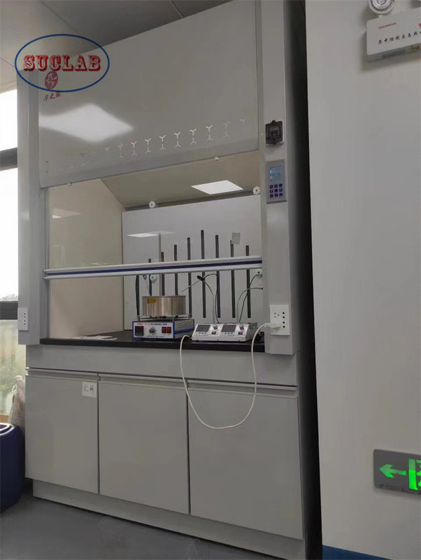 Versatile Laboratory Fume Hood Chemical Fume Chamber for Different ...