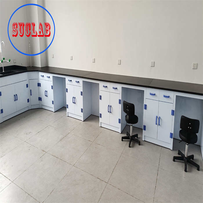 Customized Chemical Resistant Laboratory Storage Furniture Made of ...