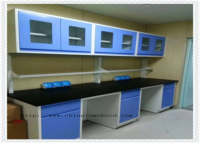Floor Mounted Structure Chemistry Lab Cabinets And Countertops Anti Static