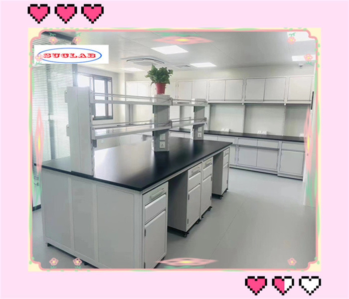 Sturdy Chemistry Lab Bench Laboratory Casework Chemical Resistant Surface