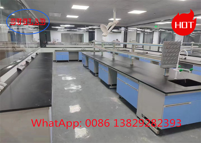 Excellent Customer Service Safety Chemistry Lab Workbench with Cabinets