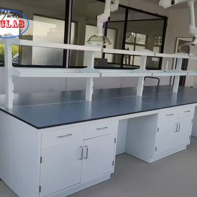 Chemistry Lab Workbench factory, Buy good price Stainless Steel Lab ...